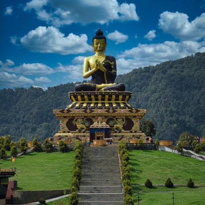 Pathik Your Own Trip